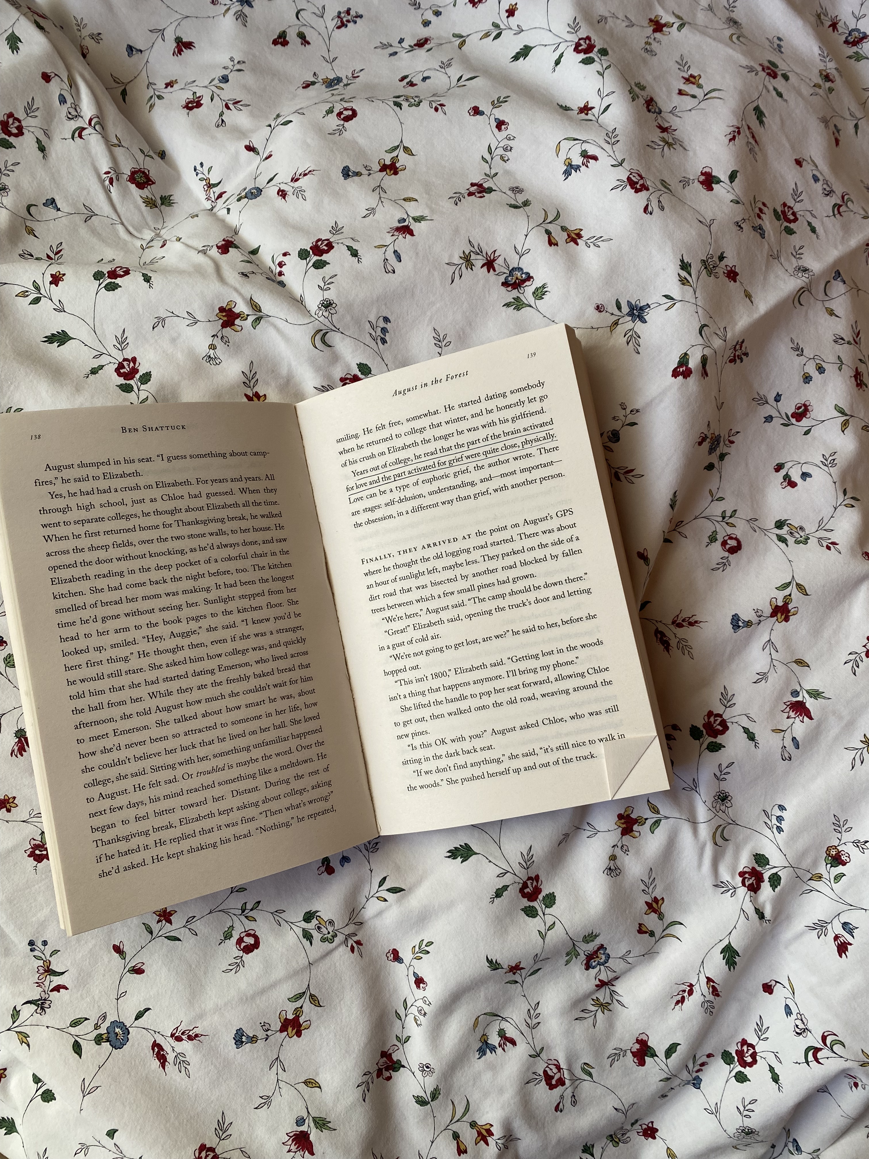 Thoughts On Short Stories – lou's library