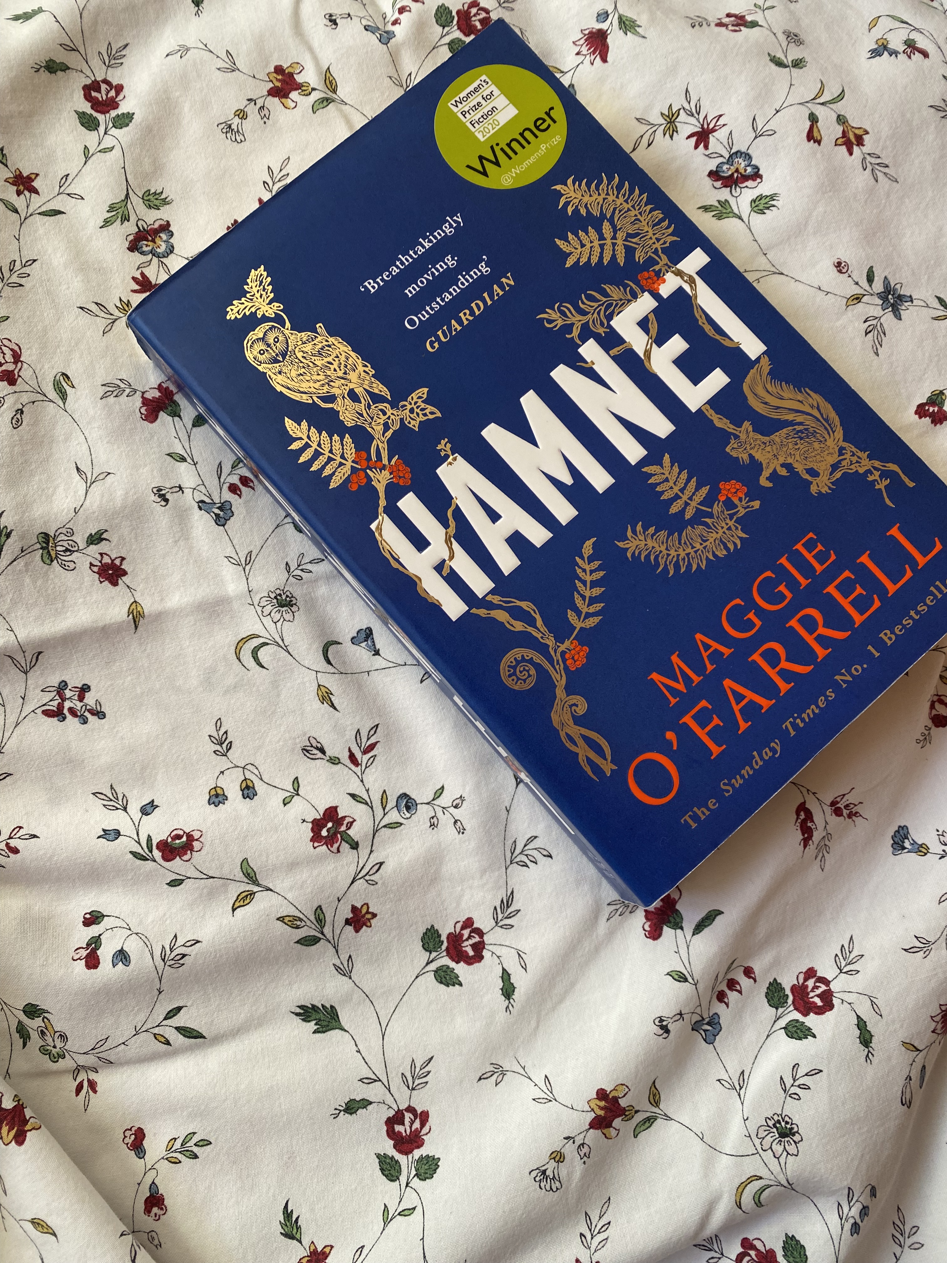 A Beginner’s Guide To Maggie O’Farrell’s Books – lou's library